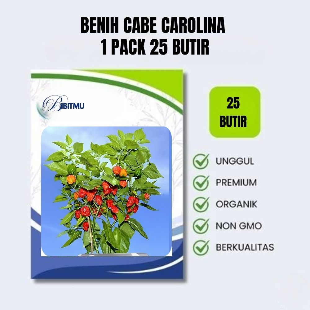25 Butir Benih Cabe Carolina Bibit Biji Berkualitas Unggulan Sayur dan ...