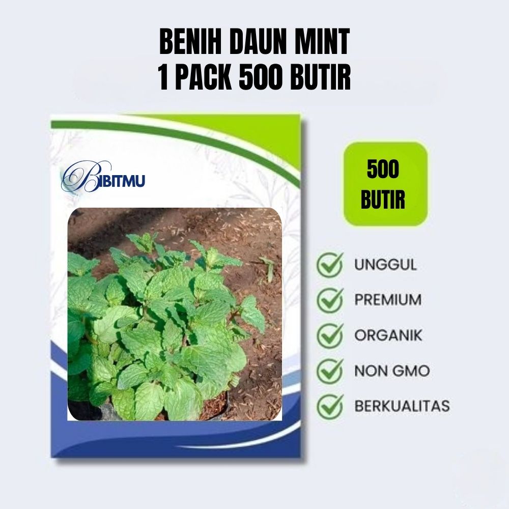 500 Butir Benih Daun Mint Aneka Benih Bibit Biji Berkualitas Unggulan ...