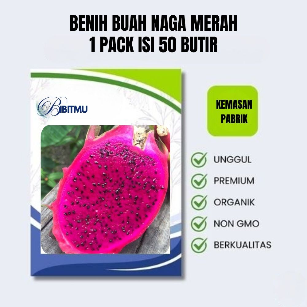 50 Butir Benih Buah Naga Merah Benih Bibit Biji Berkualitas Unggulan ...